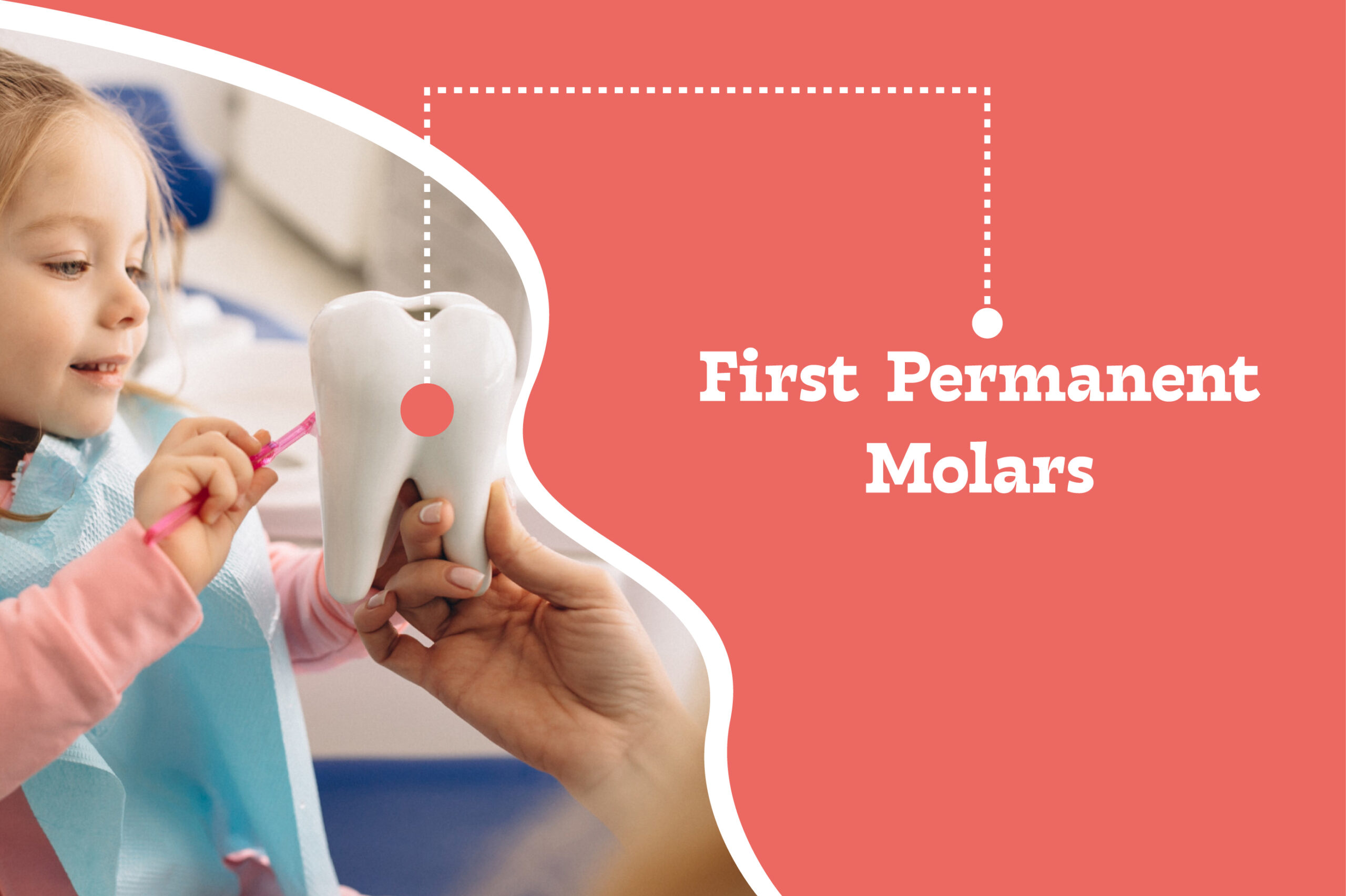 Understanding First Permanent Molars